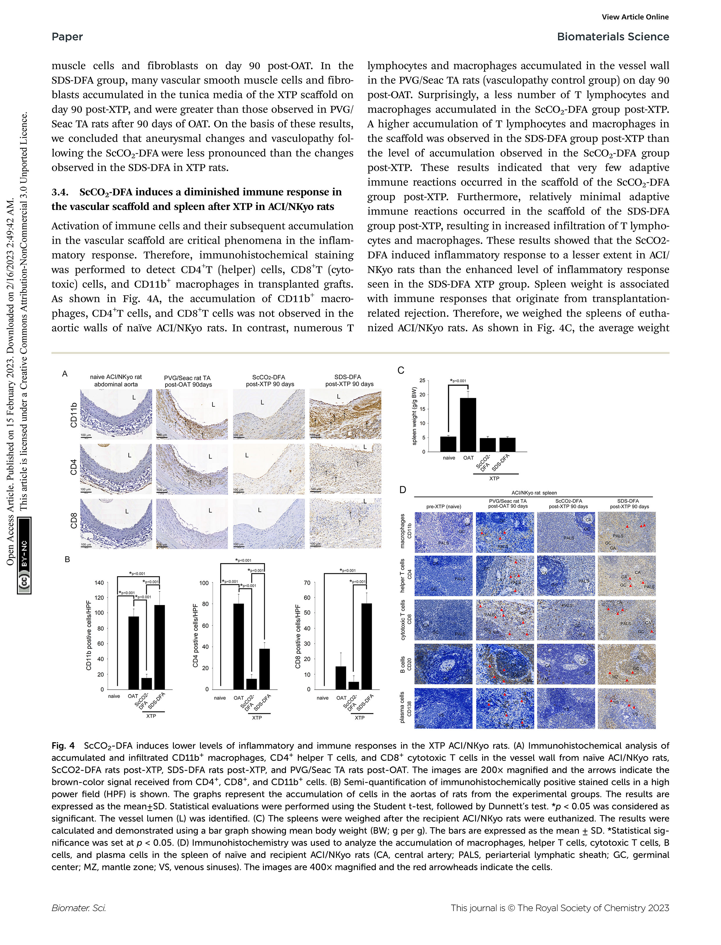 Supercritical carbon dioxide-decellularized arteries exhibit ...