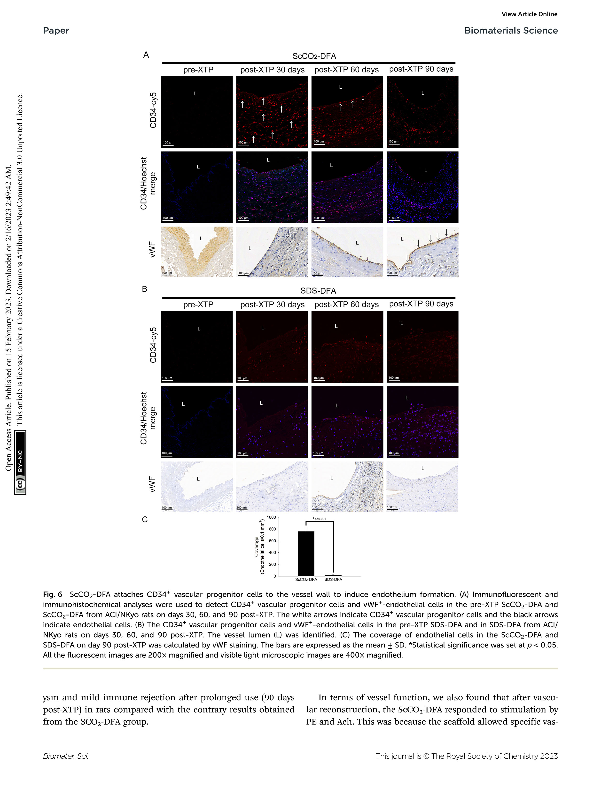 Supercritical carbon dioxide-decellularized arteries exhibit ...