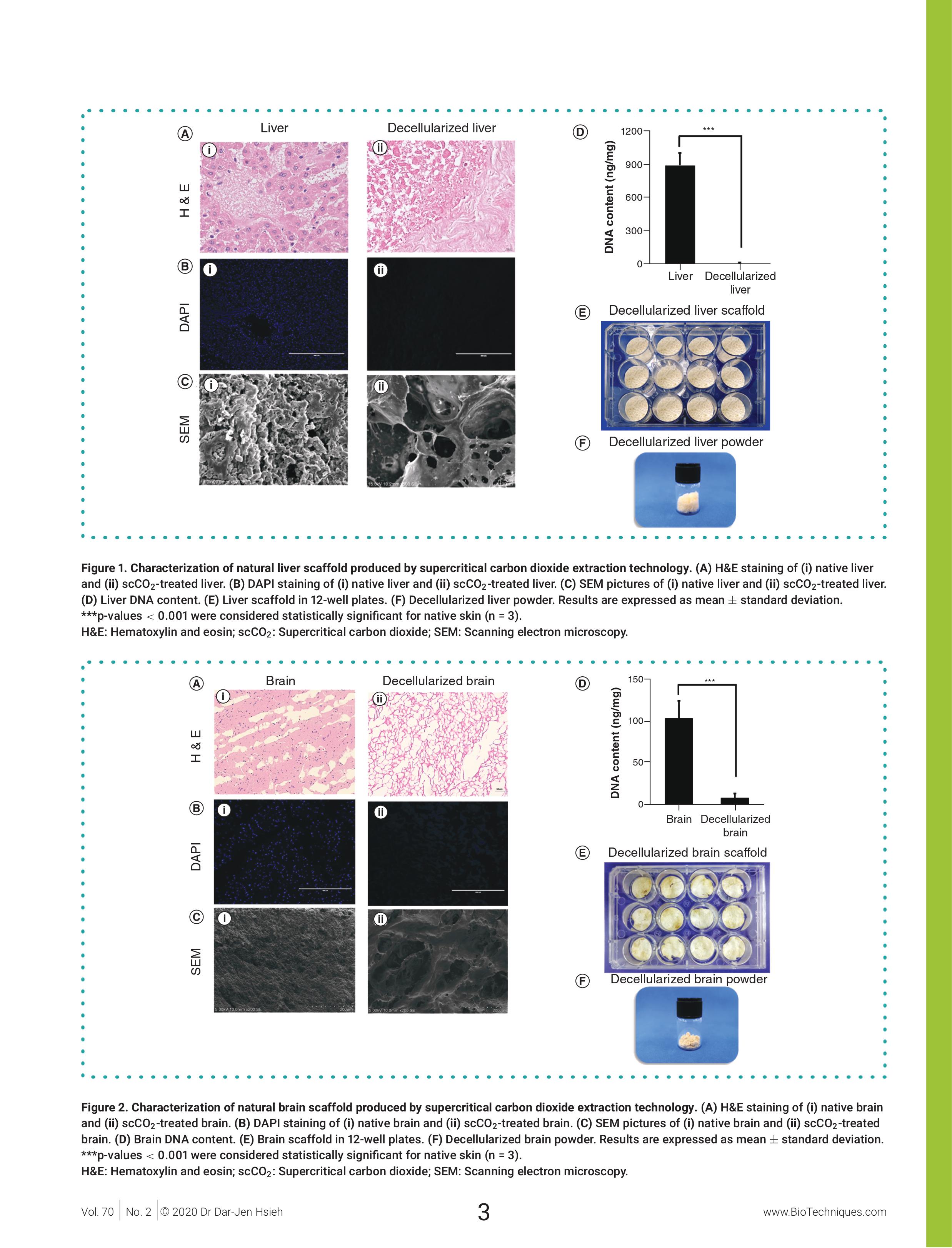 Protocols for the preparation and characterization of decellularized ...