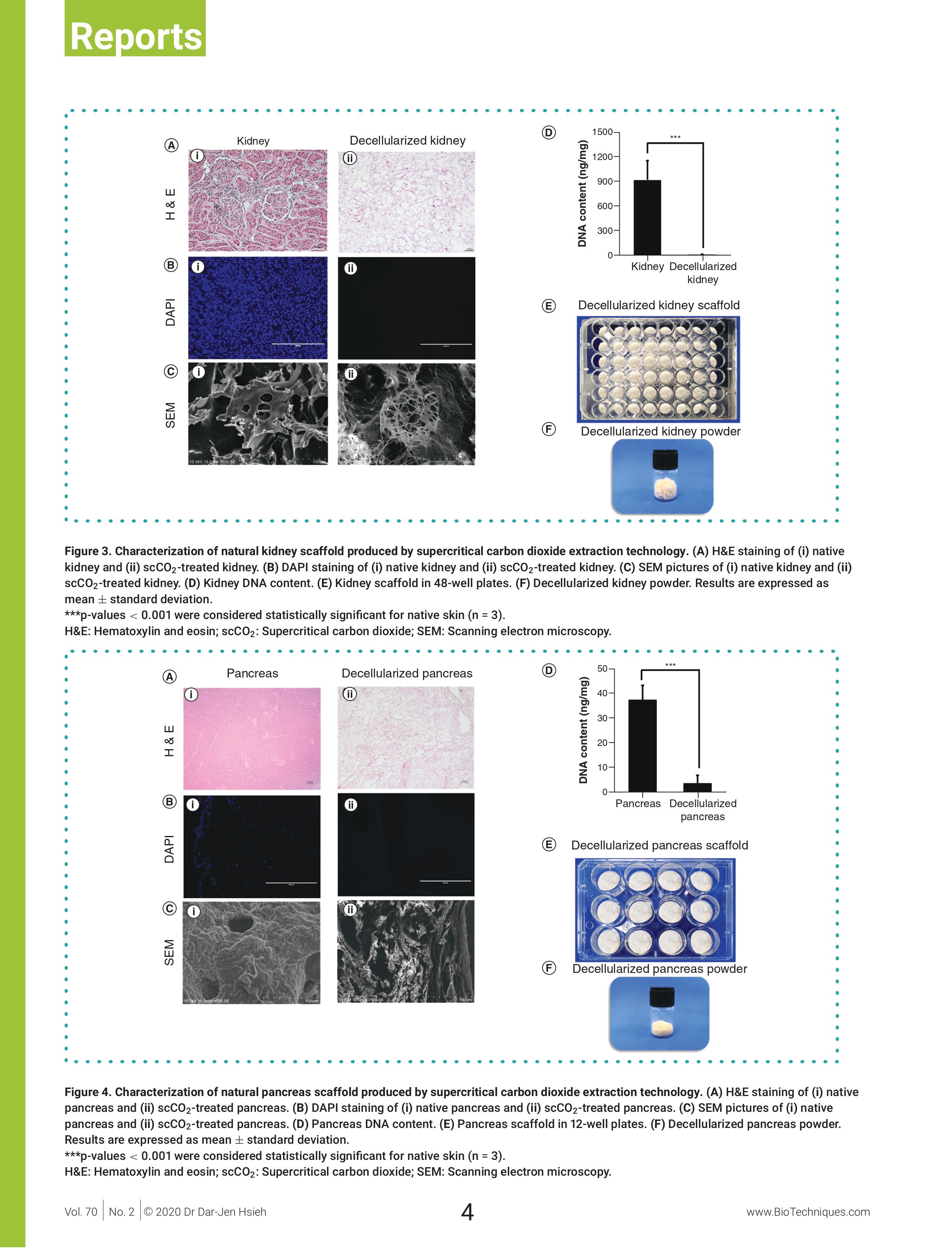 Protocols for the preparation and characterization of decellularized ...