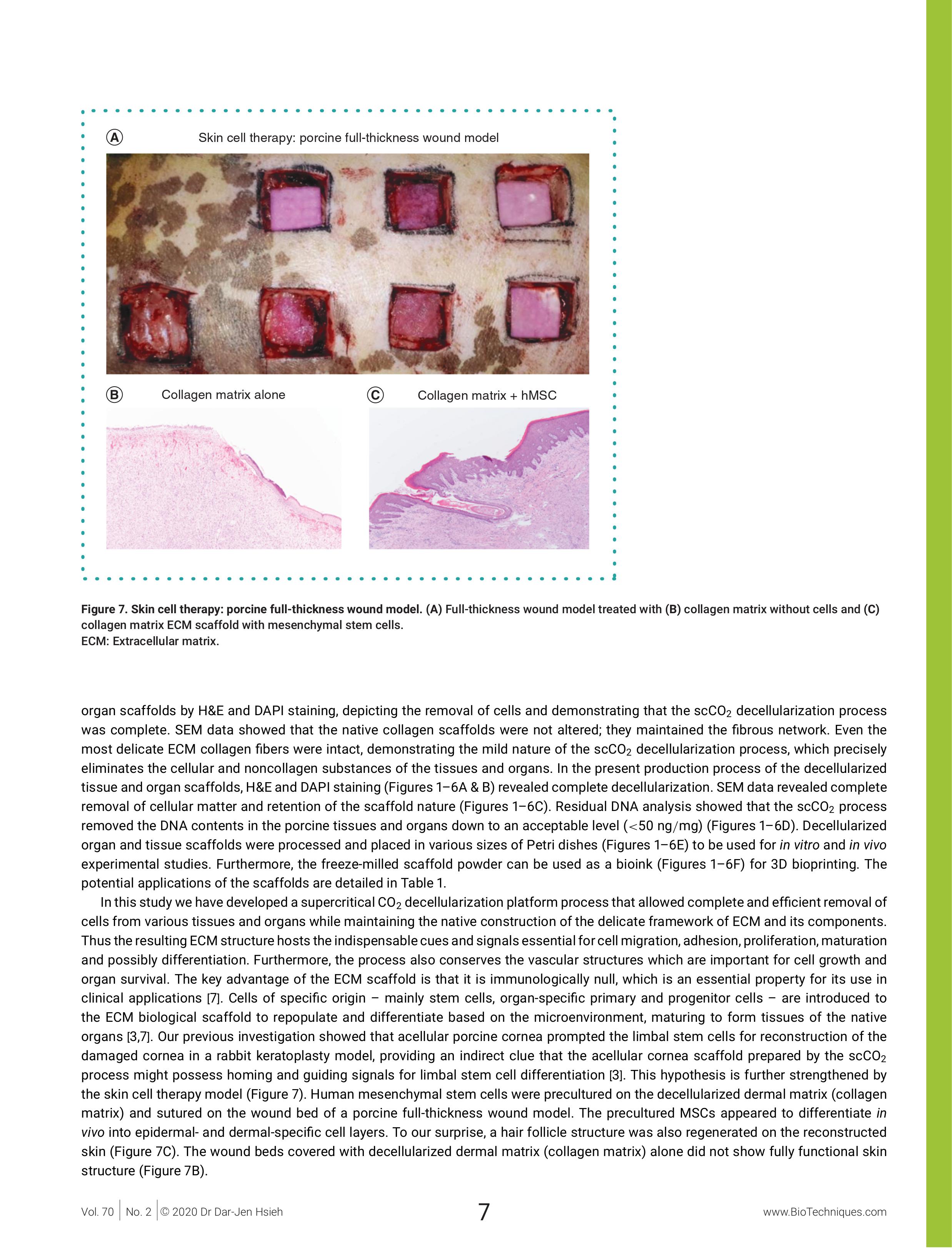Protocols for the preparation and characterization of decellularized ...